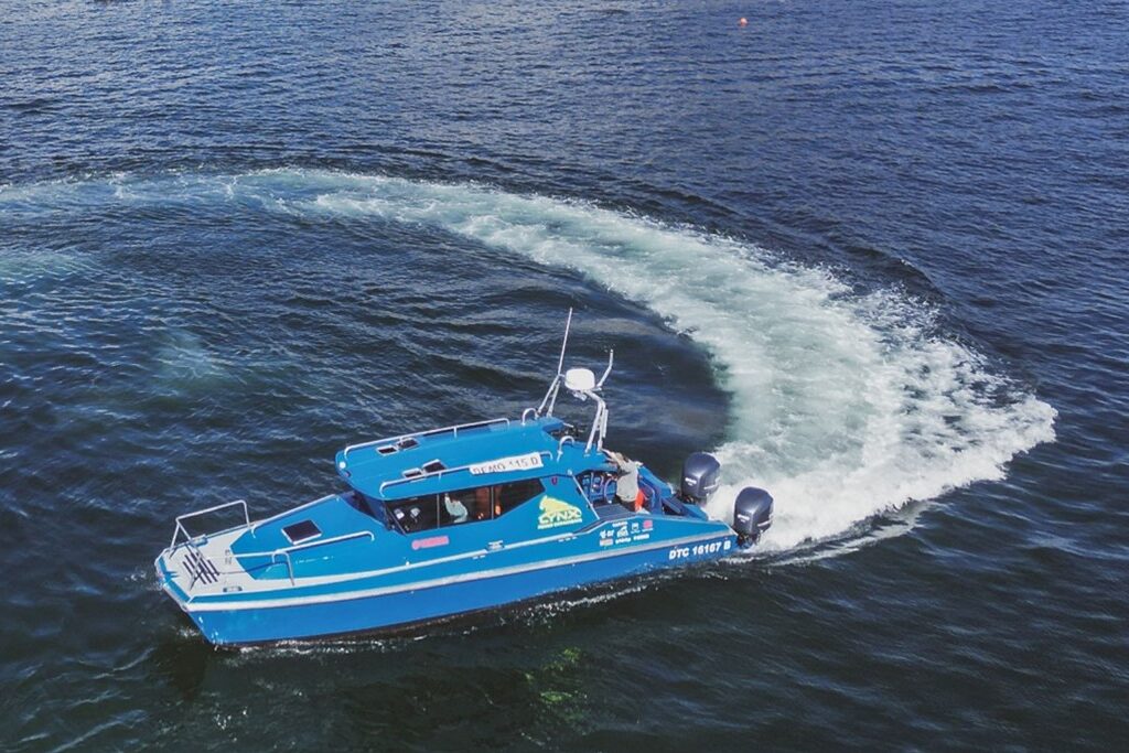 Media + News – Robosys